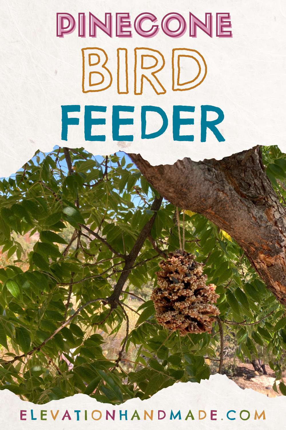 Pinecone Bird Feeder - Elevation Handmade